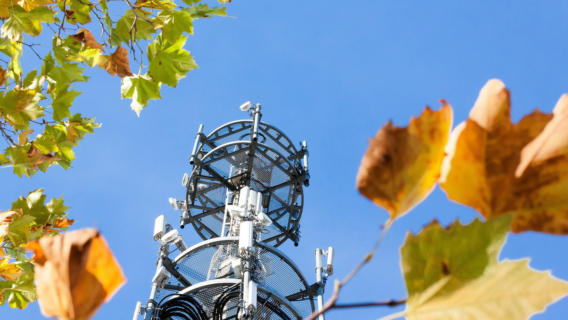 Waldon Telecom sells to M Group Services | Knights